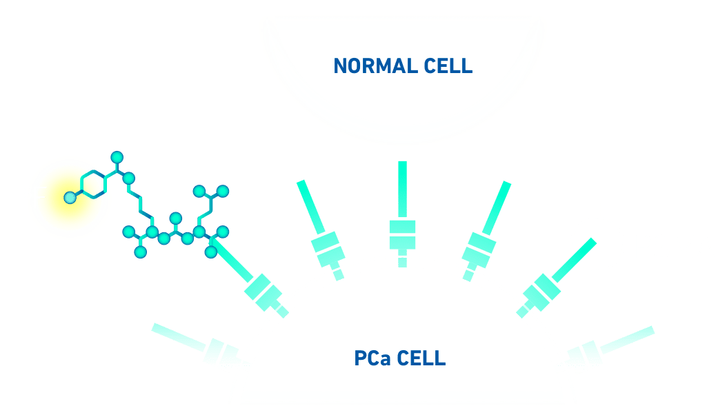 PYLARIFY® Combines PET, PSMA and 18F | PYLARIFY®